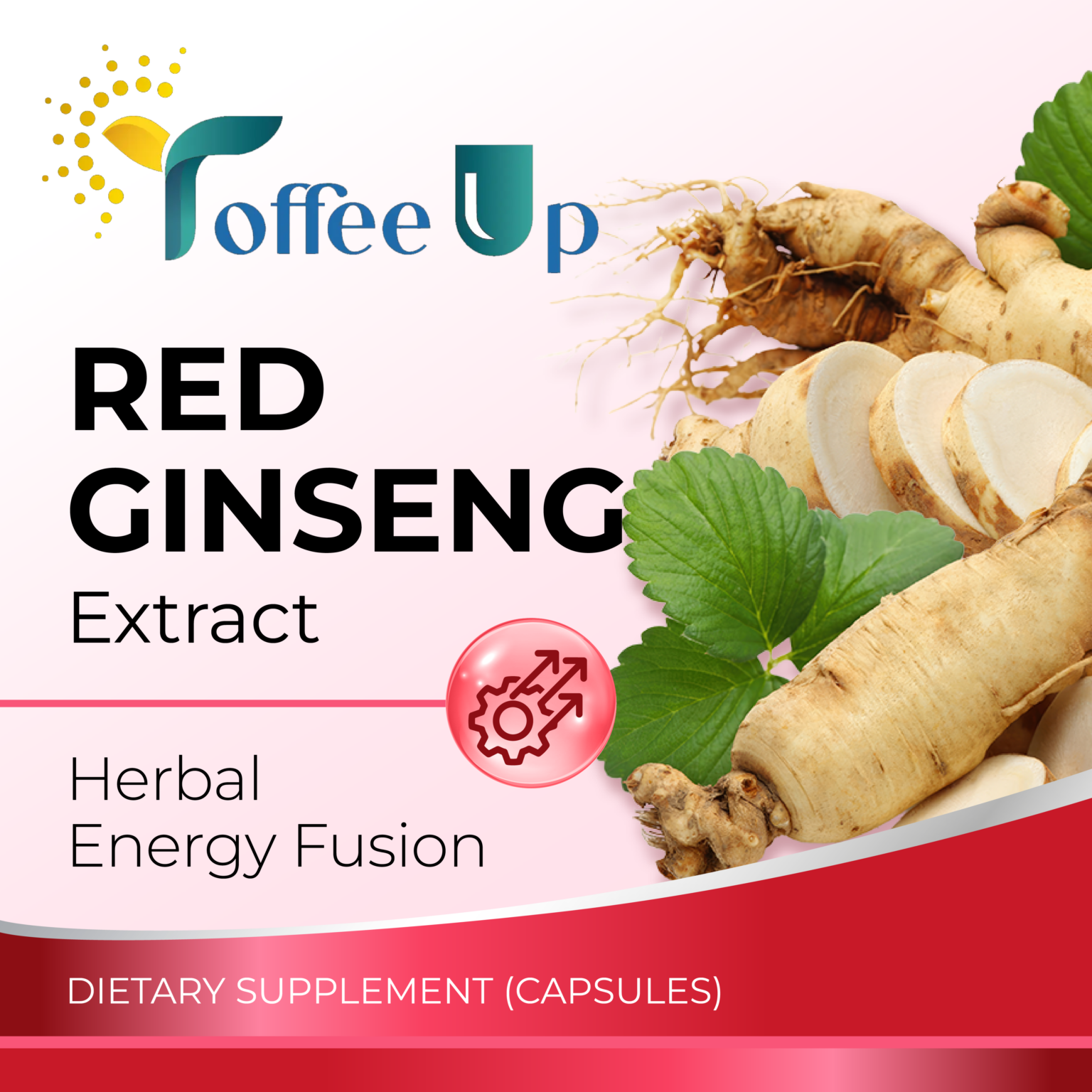 RED GINSENG Extract - Dietary Supplement Manufacturer - Private ...